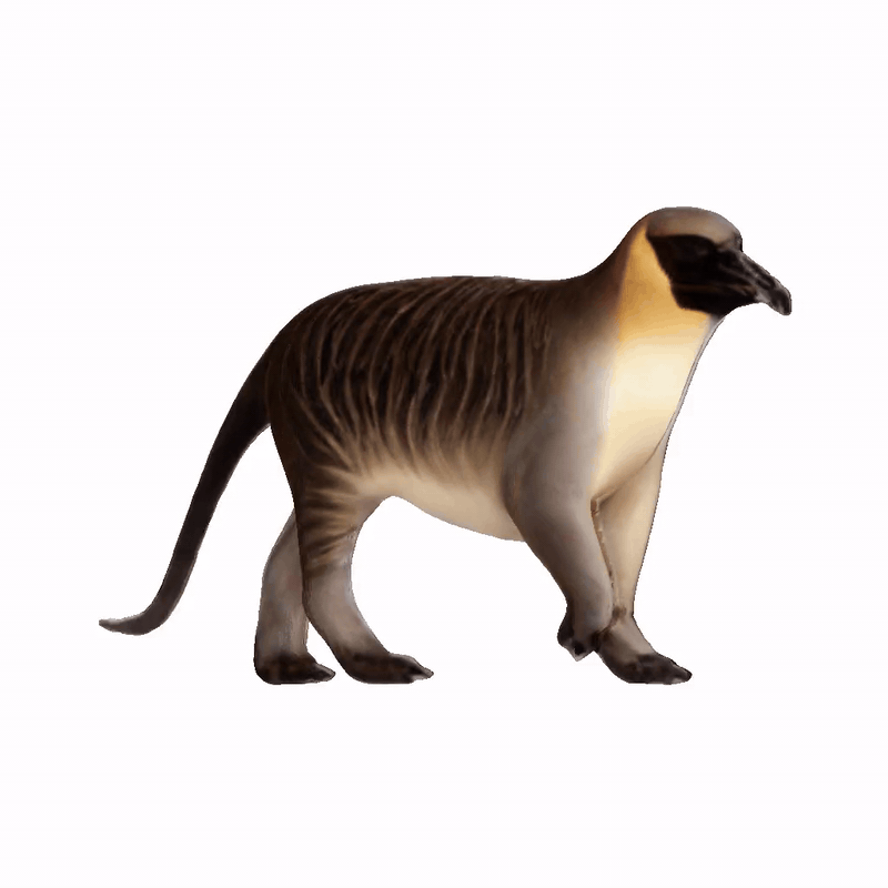 Category-Aware 3D Object Composition with Disentangled Texture and Shape Multi-view Diffusion